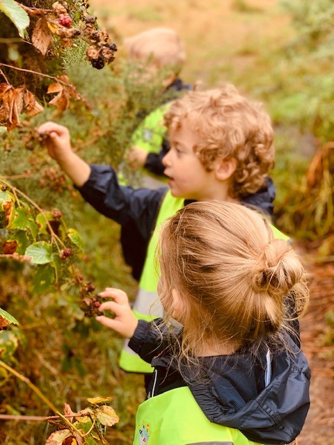 Teaching children about Autumn | Kids Planet Nurseries