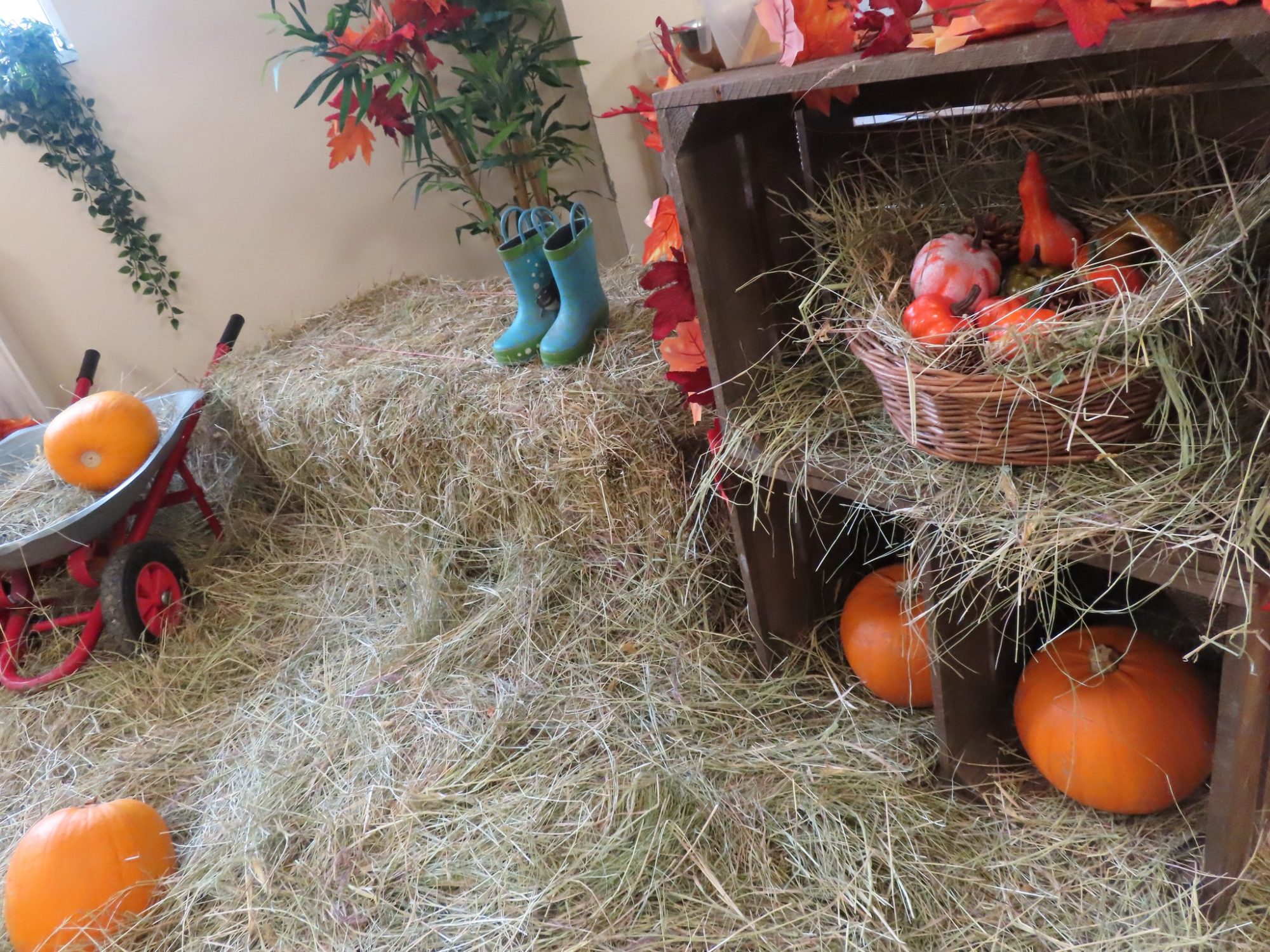 Sheepbridge nursery's indoor pumpkin patch | Kids Planet Nurseries